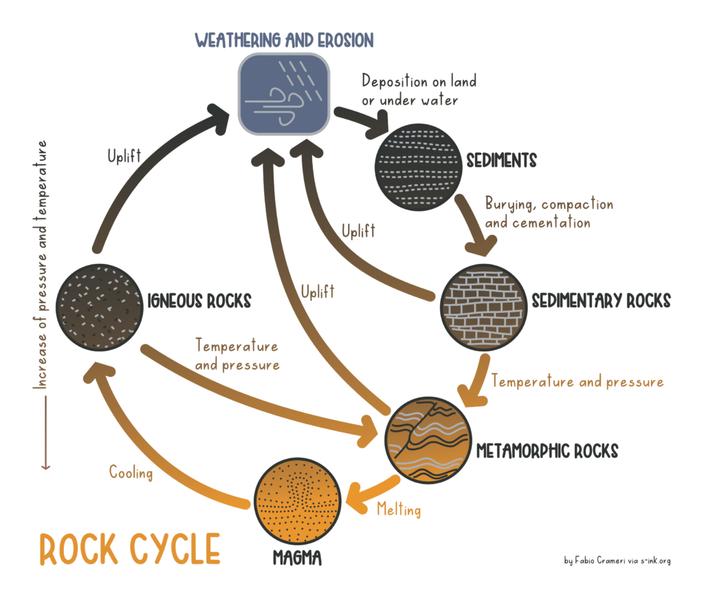 Cycle بالعربي مع اللفظ والأمثلة | سراج العربية